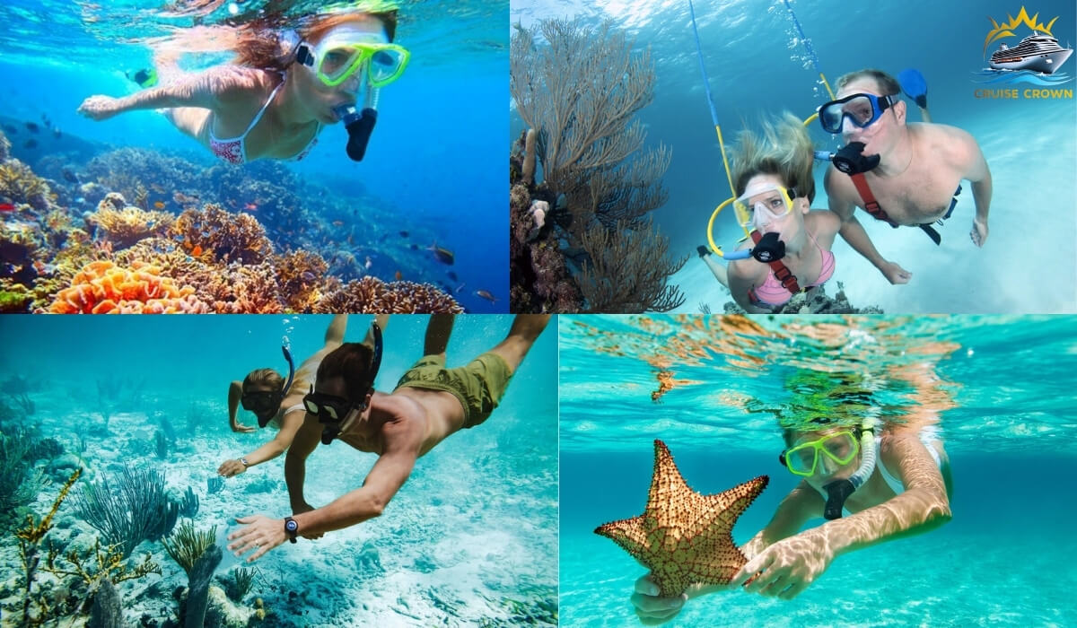 Best Things to do in Princess Cays Bahamas 2025 Detail Guide